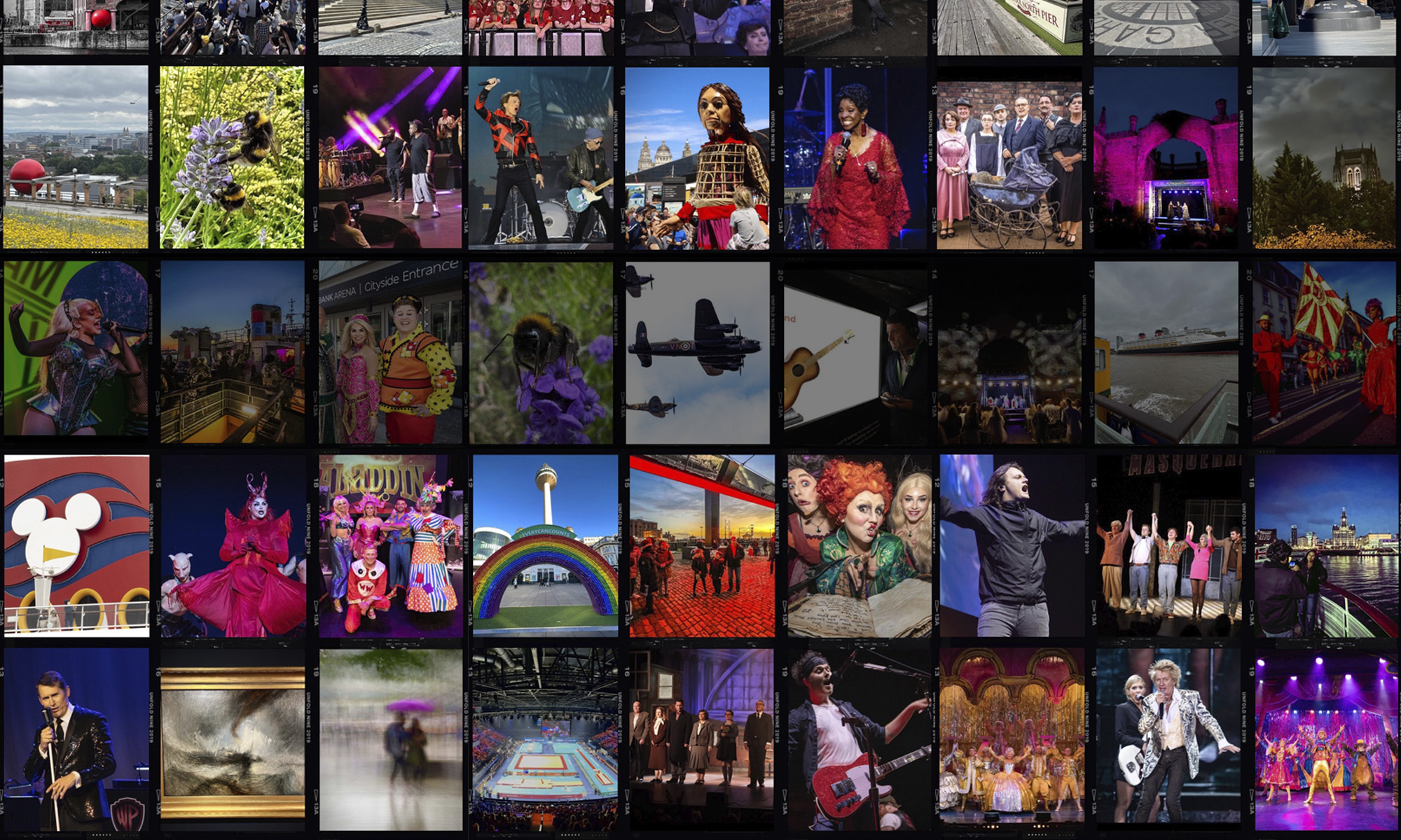 David Munn Photography